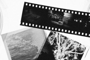 How to identify the emulsion side of the film (with photos) – 35milly
